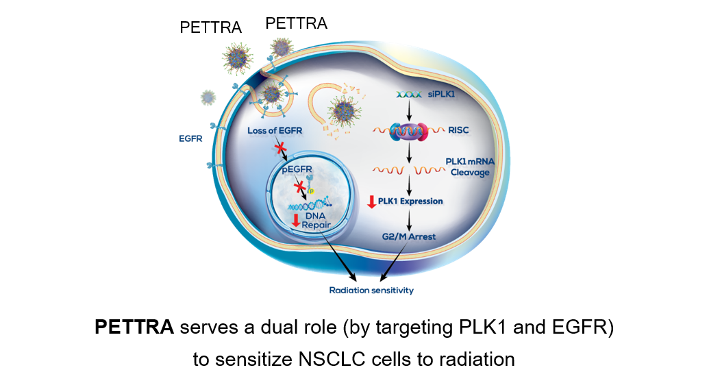 PDX pharma awarded SBIR grant from the National Cancer Institute (total ...